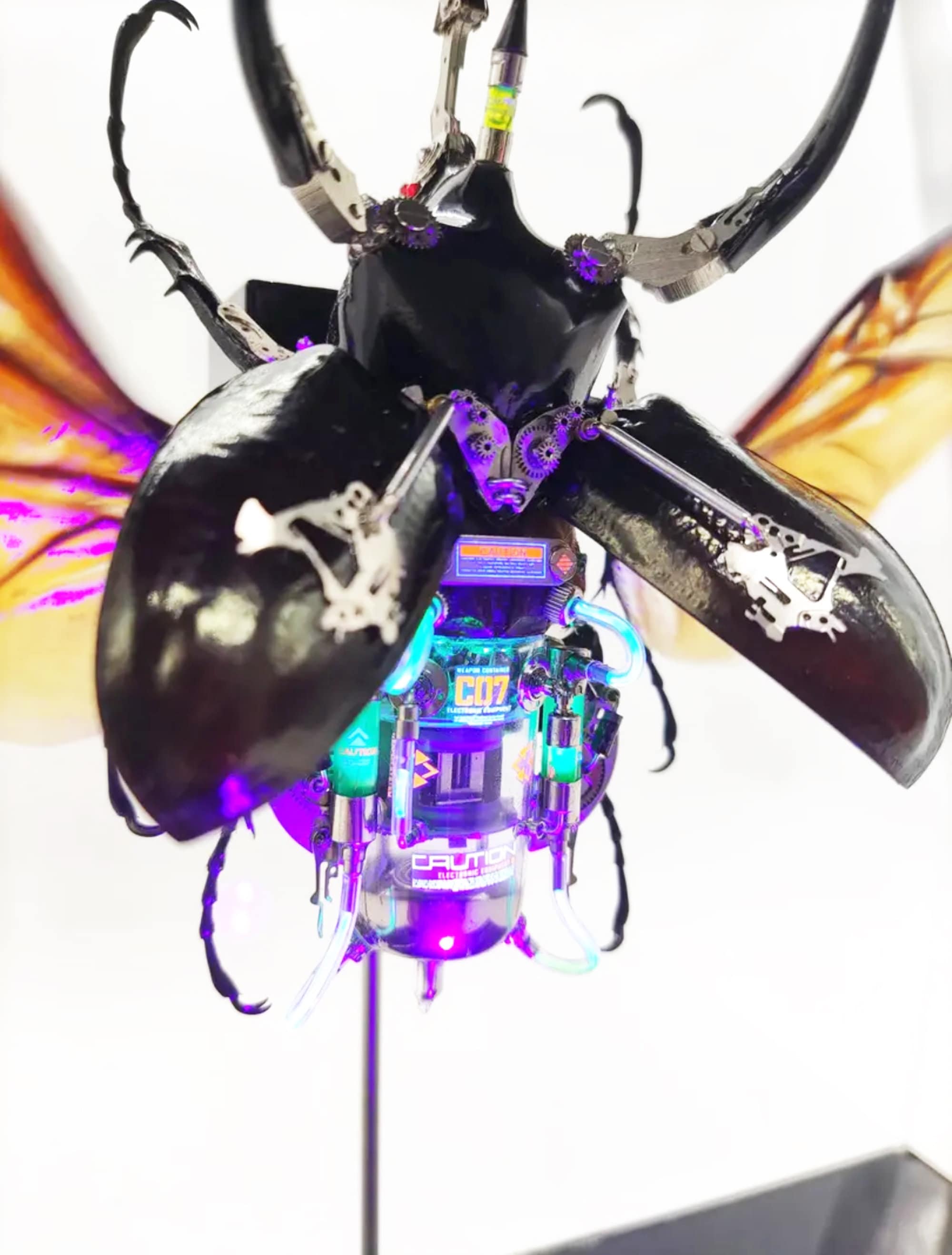 Steampunk Cyborg Mechanical Beetle Insects Bugs Kinetic - Etsy