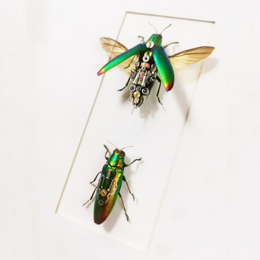 Steampunk Beetle Insect Mechanical Creatures Sculpture Clockwork ...