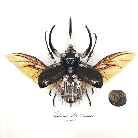 Steampunk Beetle