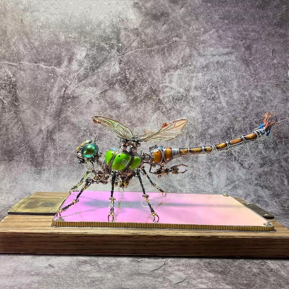 Robotic Dragonfly
