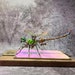 Mechanical Dragonfly Mutant, Sci-fi Fantasy Figurine, 3D Robot Creature ...
