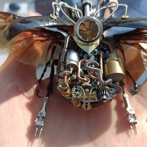 Steampunk Beetle Insect, Real Chalcosoma Atlas, Cyberpunk Sculpture ...