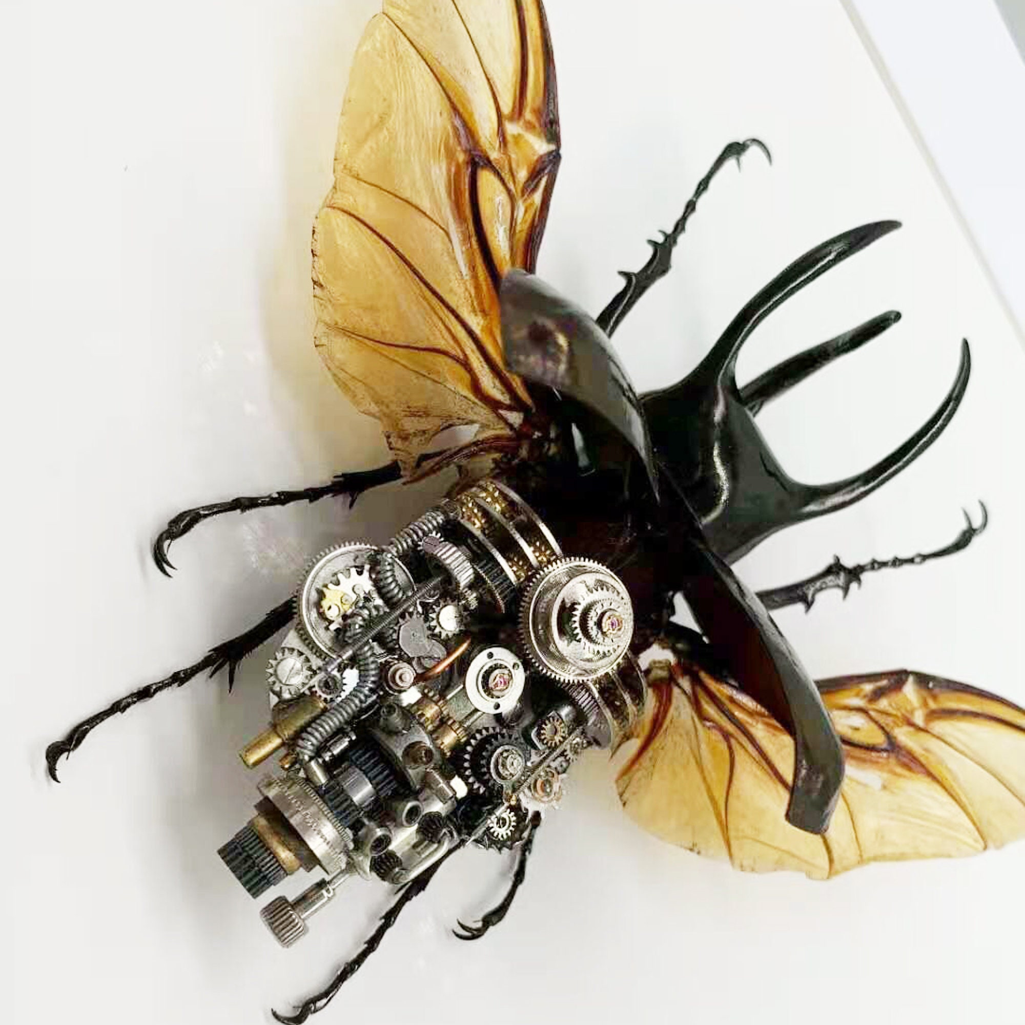 Steampunk Cyberpunk Beetle Insect Machenical Creatures Kinetic | Etsy UK