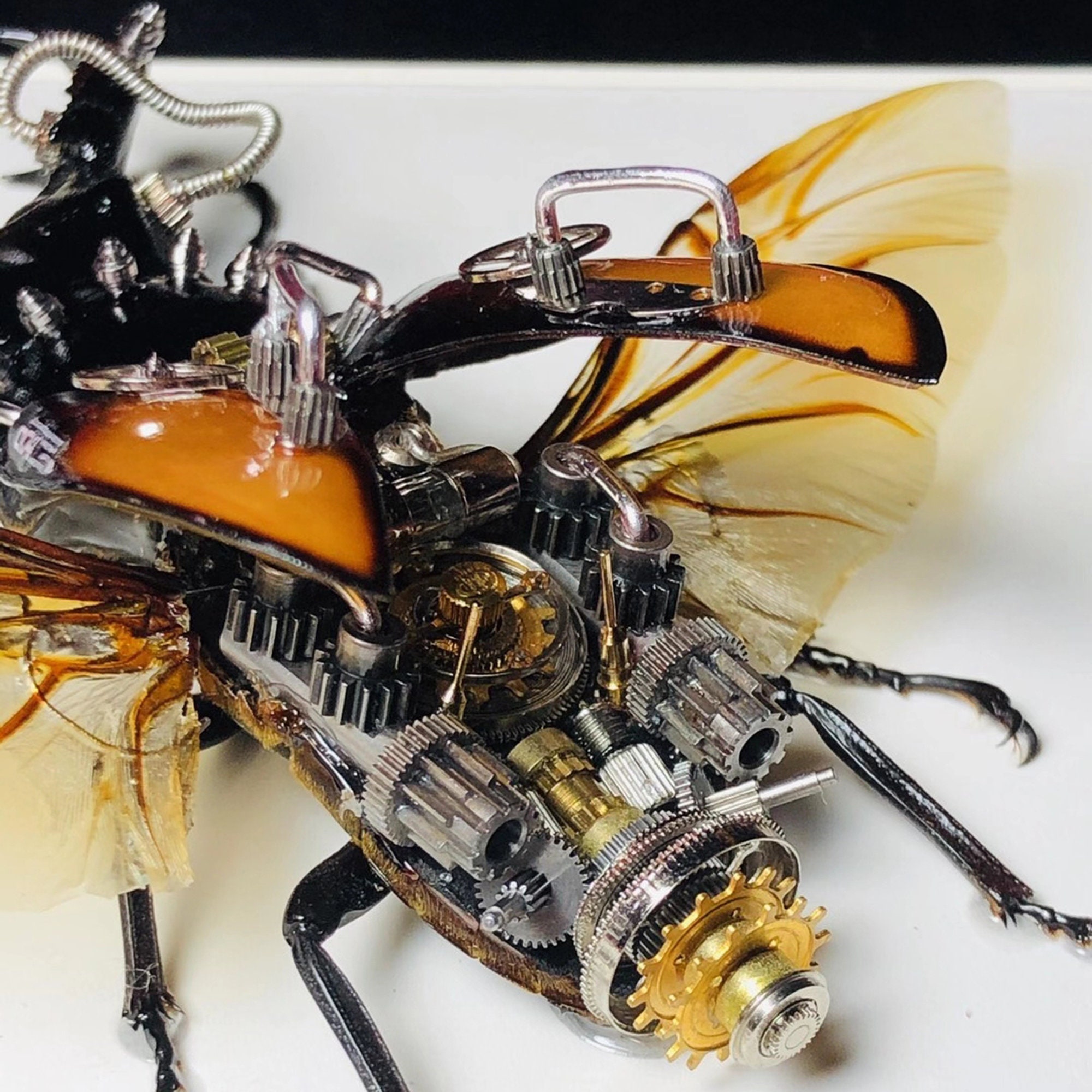 Steampunk Cyborg Mechanical Beetle Insects Bugs Kinetic Sculpture Art ...