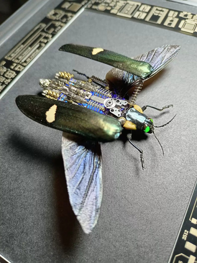 Steampunk Cyberpunk Beetle Insect Mechanical Creatures Kinetic - Etsy