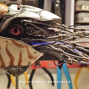 Nautilus Mechanical Mutant, Robot Creature Animals, Handmade Biomech ...