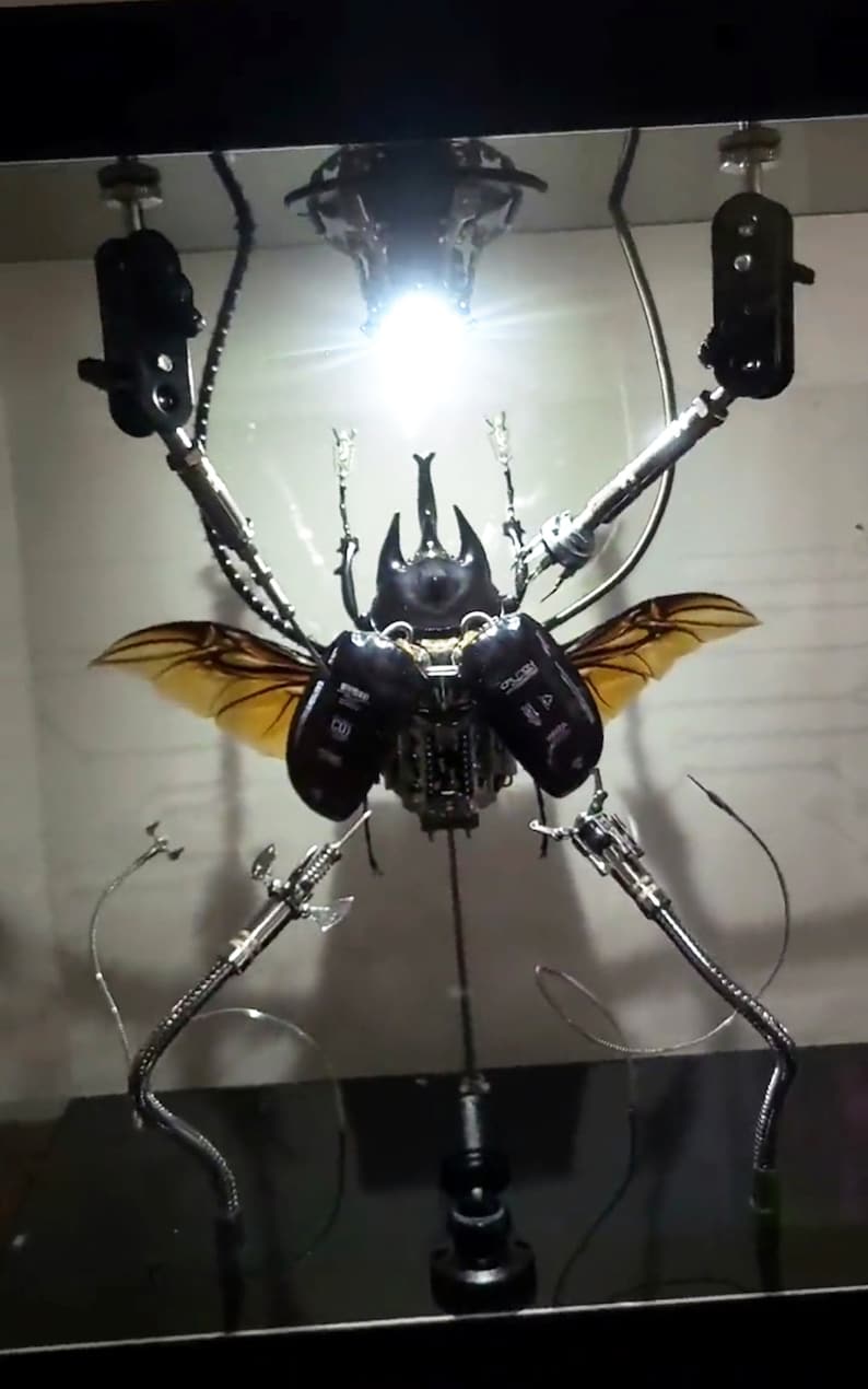 Steampunk Cyborg Mechanical Beetle Insects Bugs Powered by A - Etsy