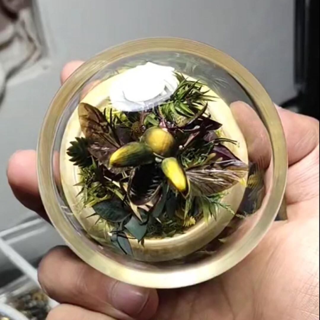 Mechanical Beetle With Flapping Wings Real Insect Kinetic Sculpture ...