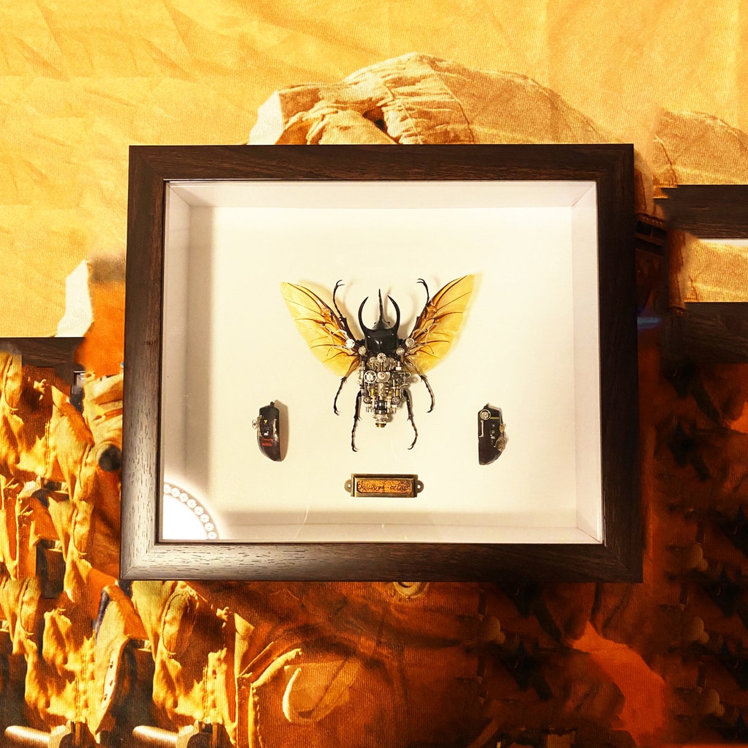 Steampunk Cyberpunk Beetle Insect Machenical Creatures Kinetic ...