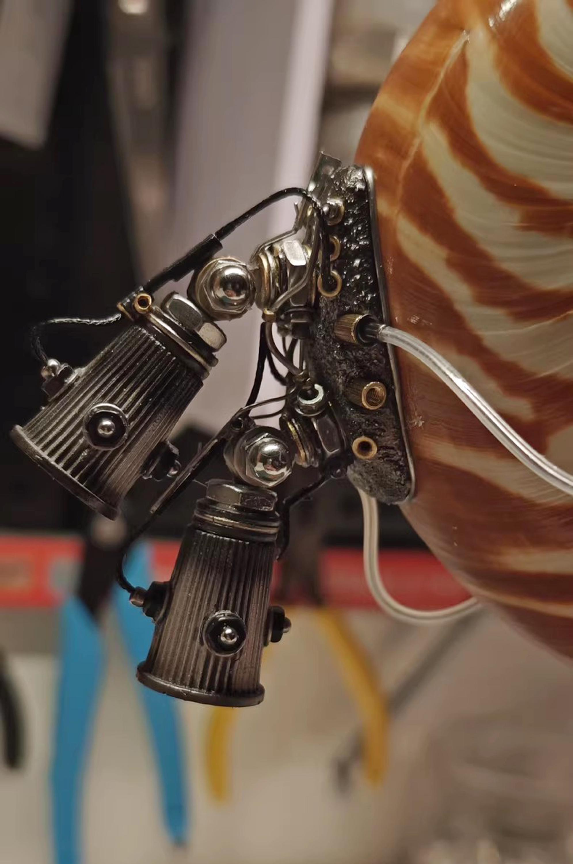 Nautilus Mechanical Mutant, Robot Creature Animals, Handmade Biomech ...