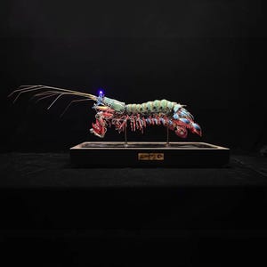 Mechanical Mutant 3D Mantis Shrimp Sculpture, Handmade Crafts Sculpture ...