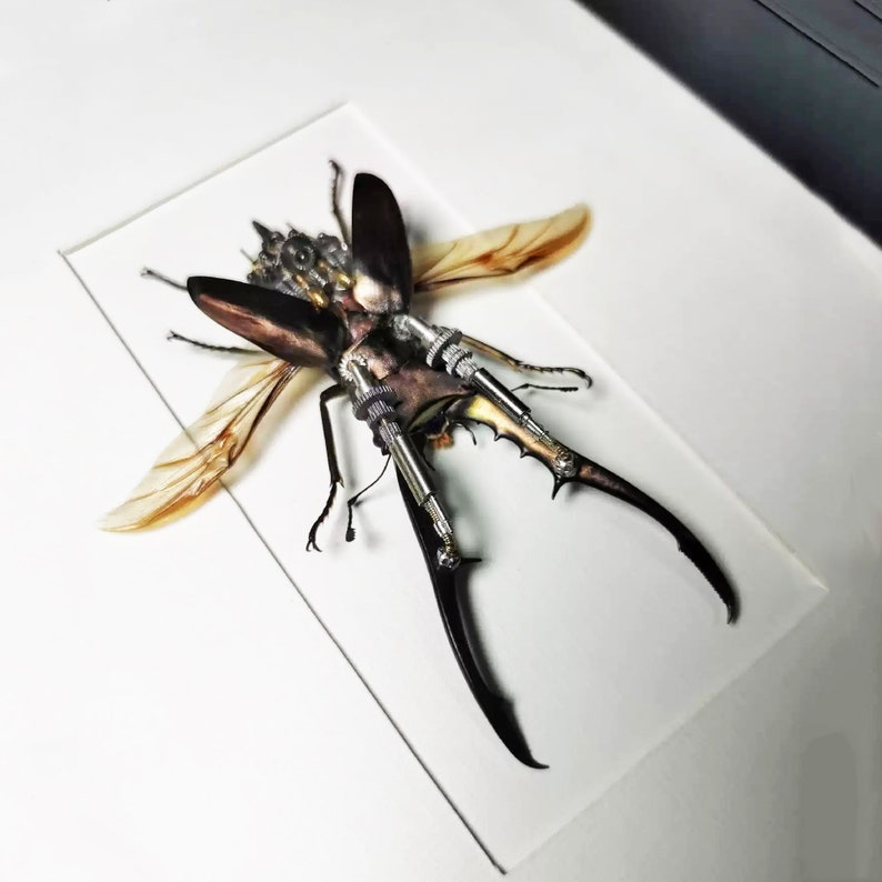 Mechanical Beetle Insects Bugs Art Inspired by the Edward - Etsy