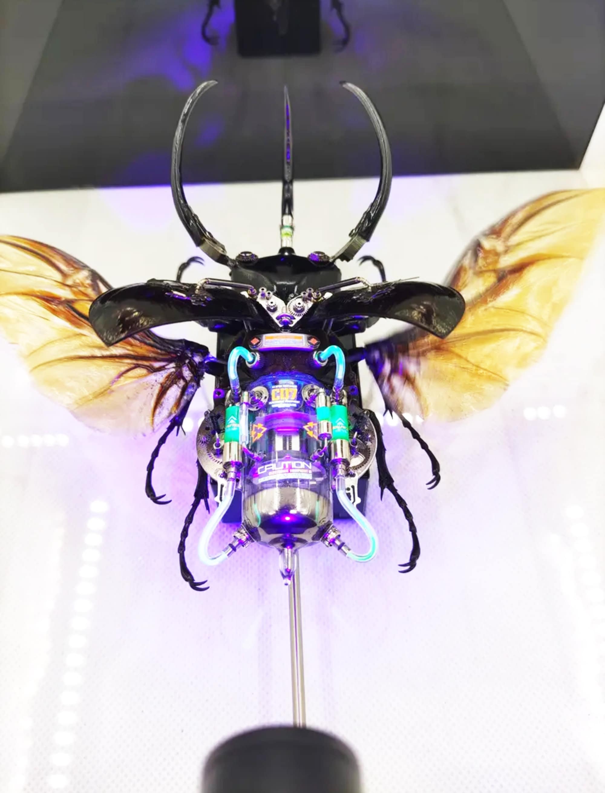 Steampunk Cyborg Mechanical Beetle Insects Bugs Kinetic - Etsy