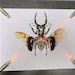 Mechanical Beetle With Flapping Wings Real Insect Kinetic Sculpture ...