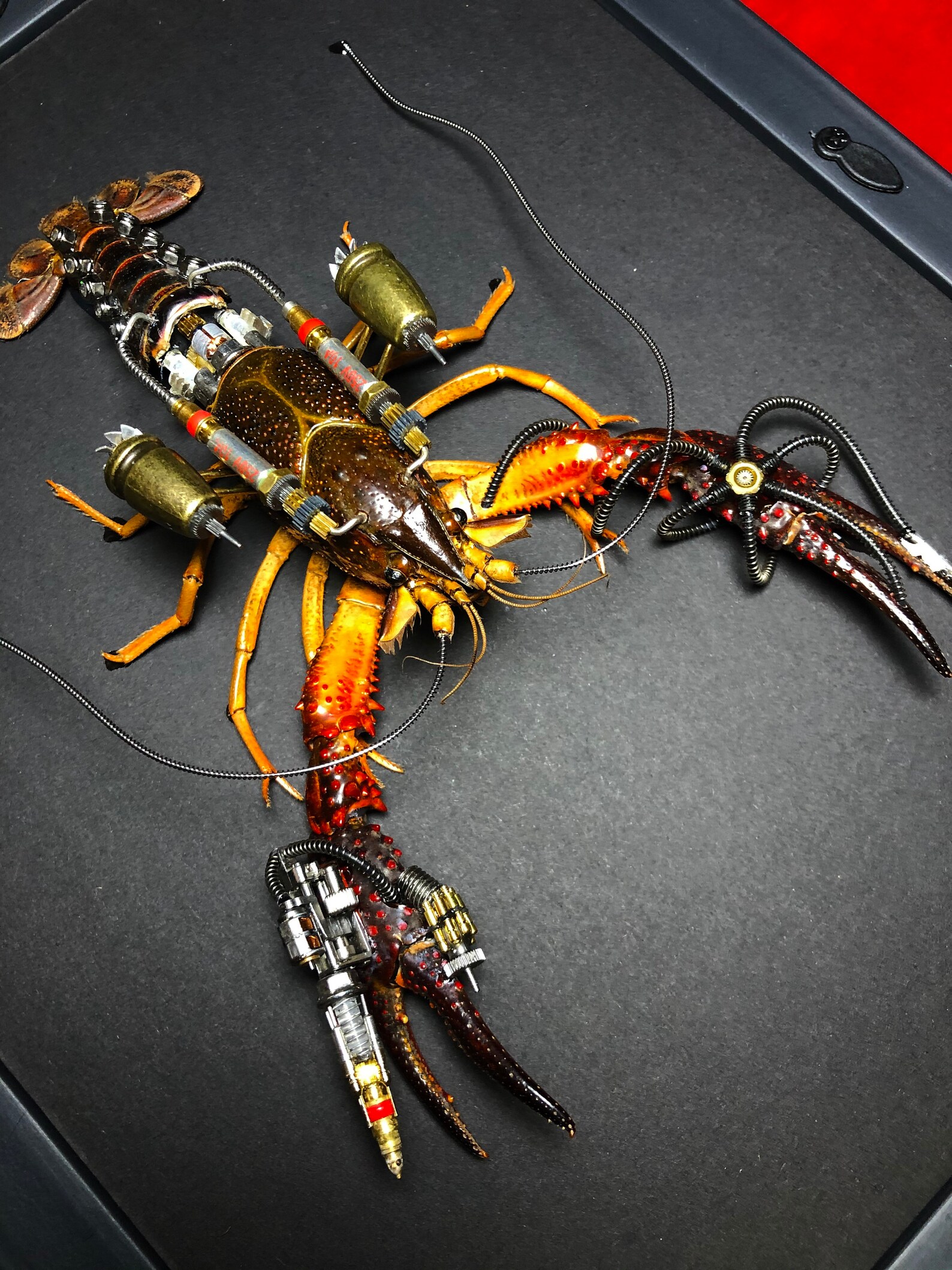 Crayfish Mechanical Mutant 3D Robot Creature Animals Handmade Sculpture ...