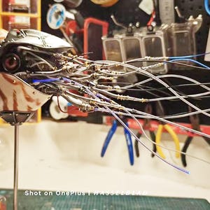 Nautilus Mechanical Mutant, Robot Creature Animals, Handmade Biomech ...