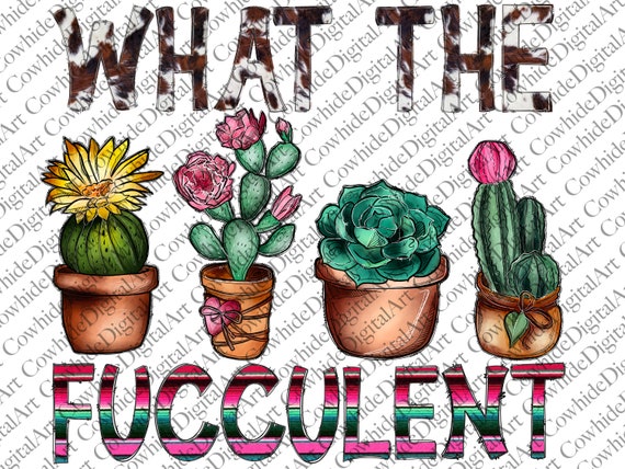 What the Fucculent PNG Filecactus Png Serape Western Png - Etsy