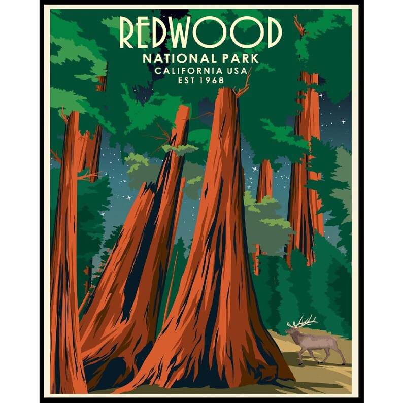 Redwood Poster Redwood National Park Print US National - Etsy