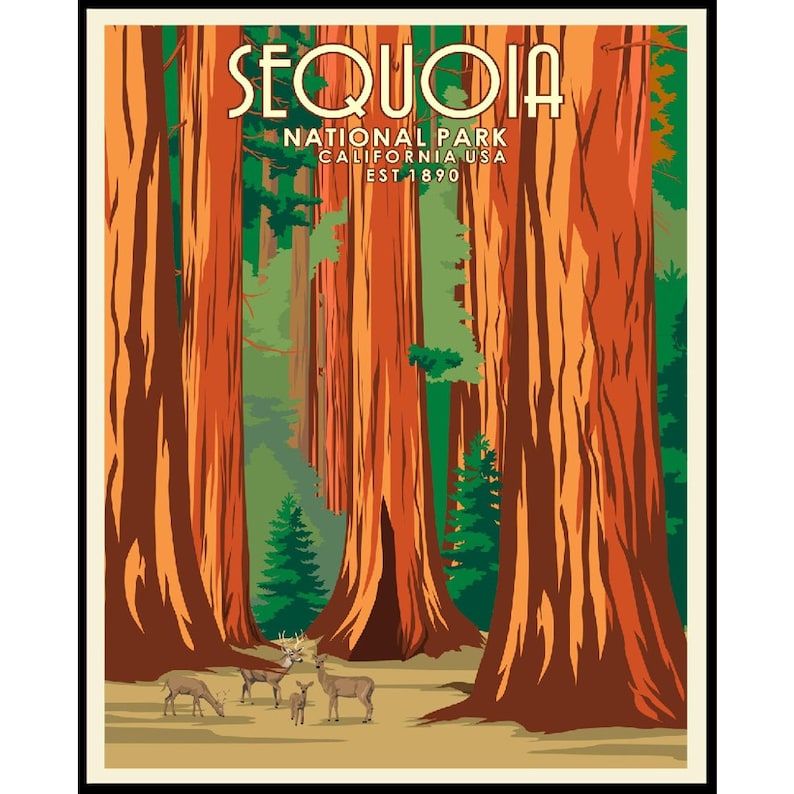 Sequoia Park Poster Sequoia Print Poster Sequoia National Park ...