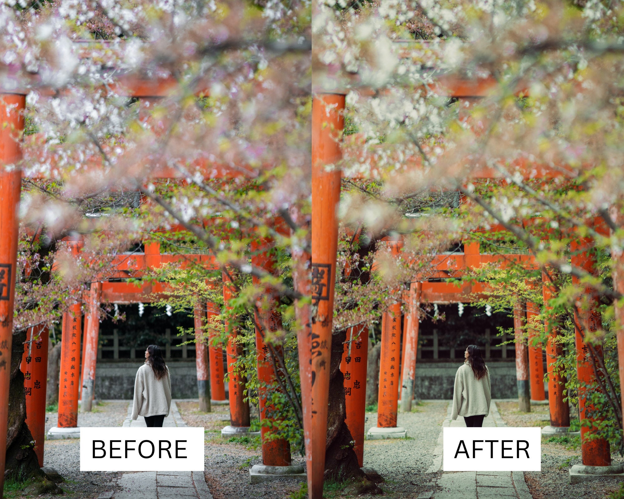 40 LUTS | Japan Film | Tokyo | Mood | Premiere Pro | After Effects ...