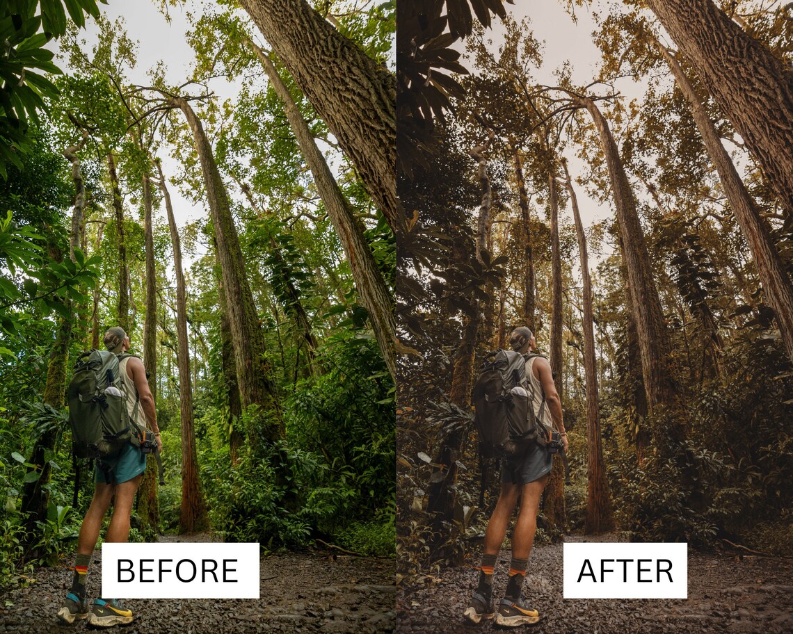 50 LUTS | Forest Mood | Rustic | Nature | Hiking | Trees | Premiere Pro ...