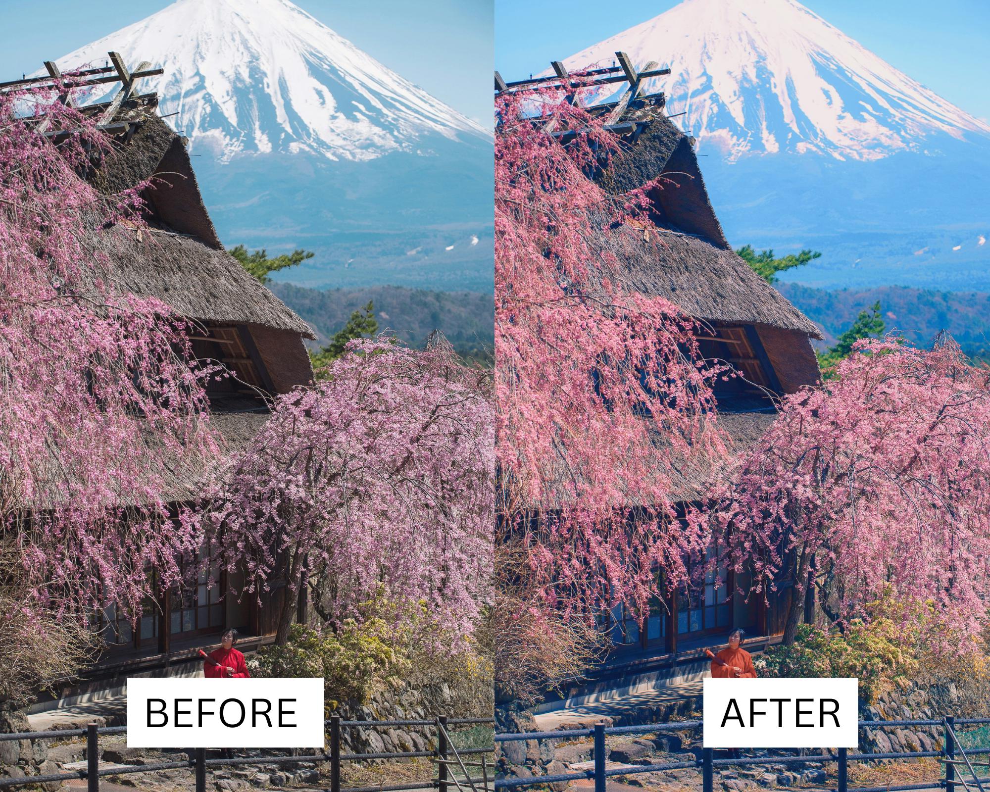 40 Cherry Blossom Luts | Sakura Japan Pink Pastel Color Grading LUT ...