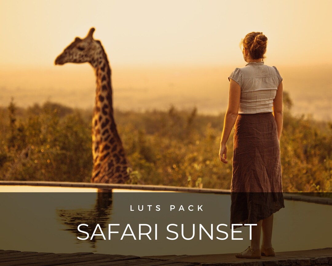 10 LUTS | Safari Sunset | Wildlife Animals | Premiere Pro | After ...