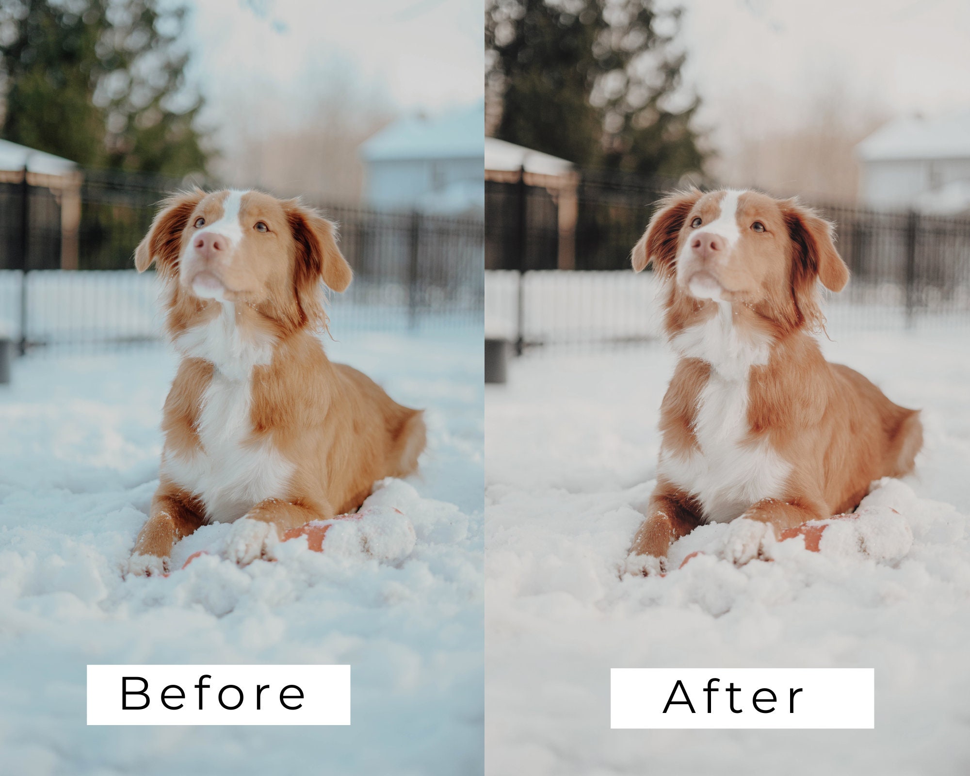 40 LUTS | Snowscape | Video Presets | Video Editing | Video Filters ...