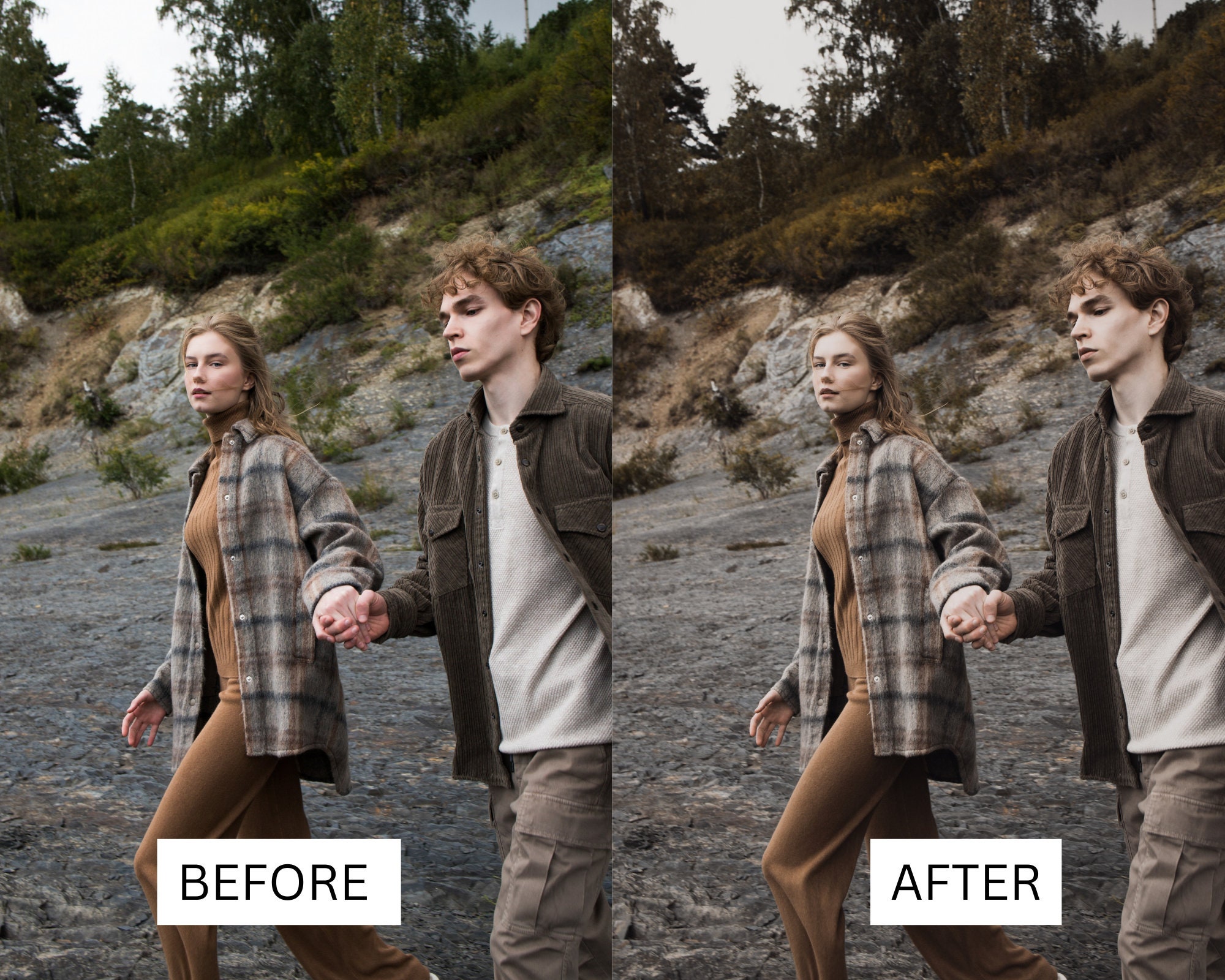 40 LUTS | Folklore | Forest | Video Presets | Video Filters | Video ...