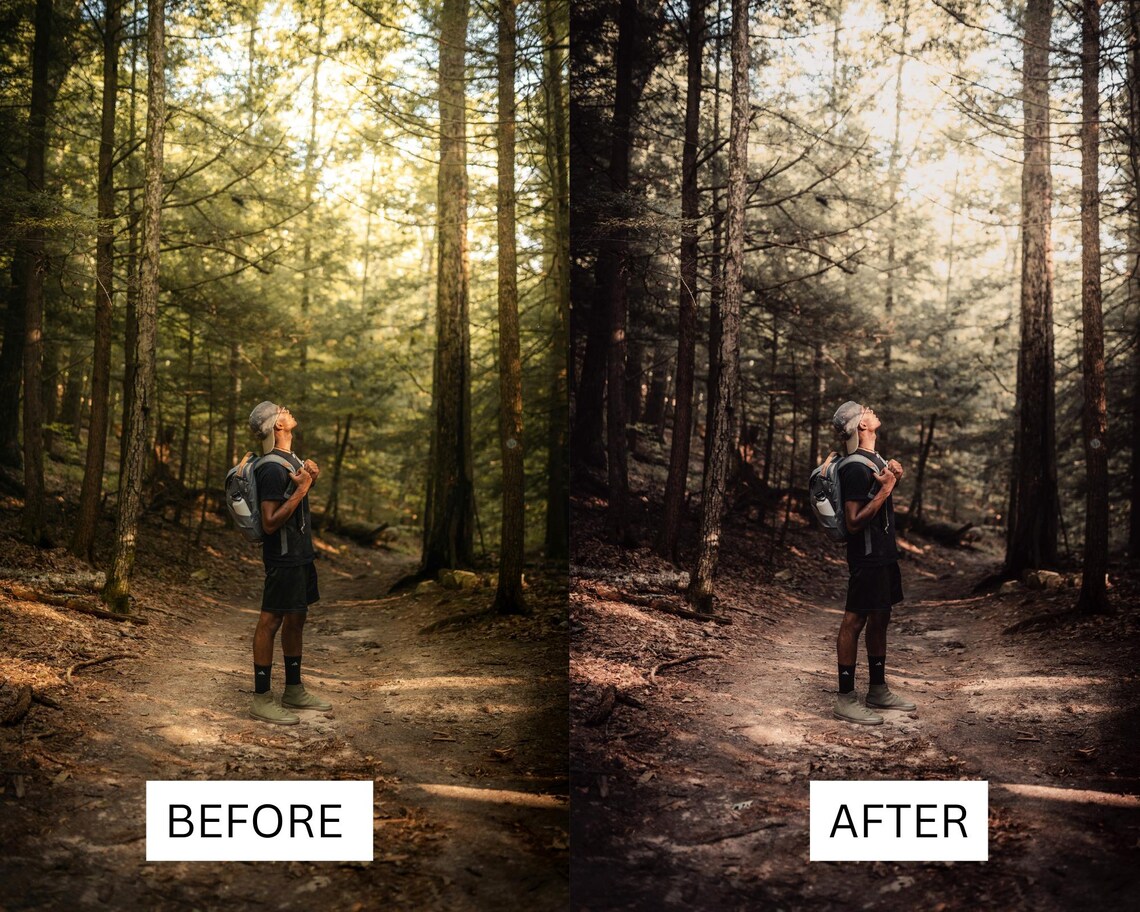 40 LUTS | Cinematic Forest | Green | Trees | Nature | Hiking | Premiere ...