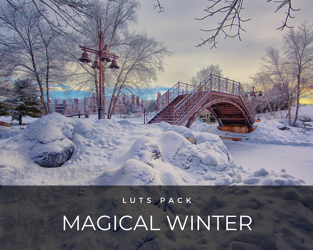 50 LUTS | Magical Winter | Wonderland | Snow | Winter Landscape ...