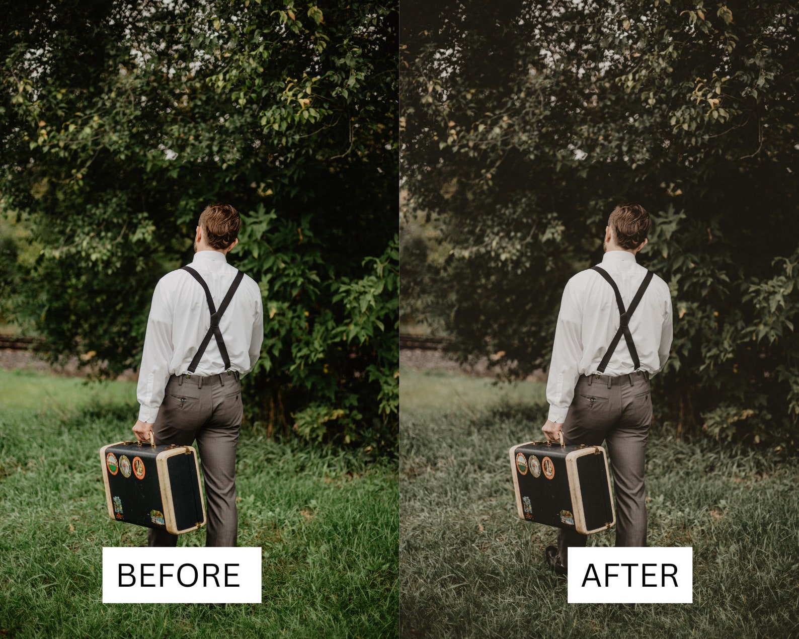 40 LUTS | Folklore | Forest | Video Presets | Video Filters | Video ...