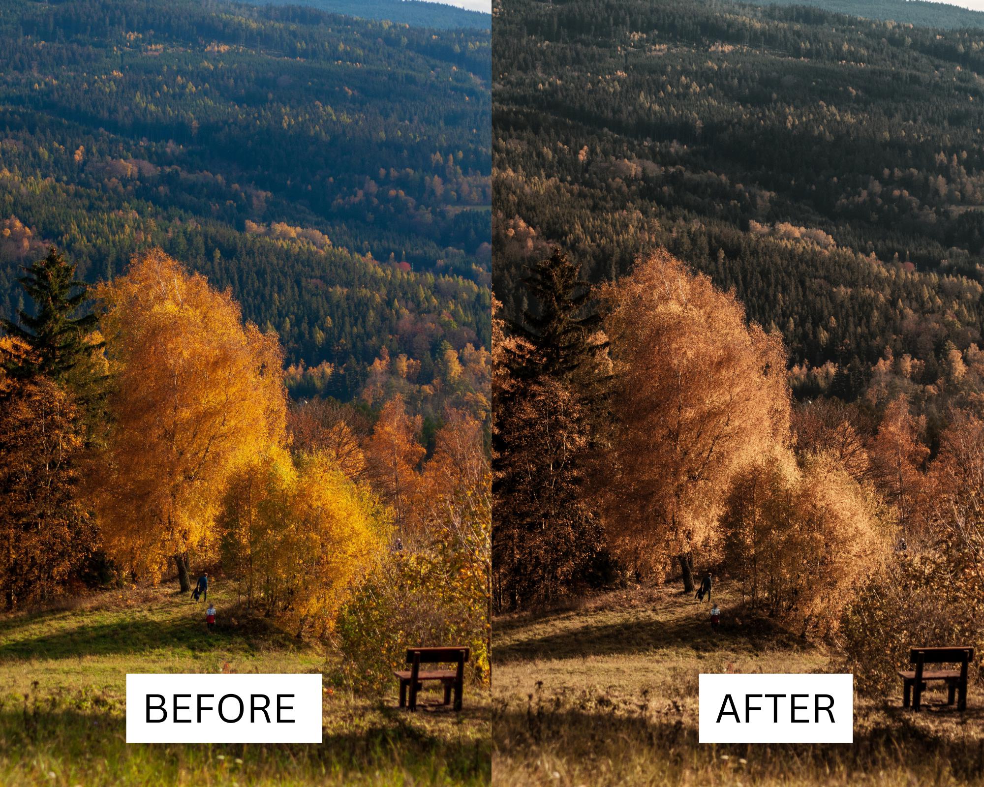 40 Dark Moody Autumn Luts | Cinematic Fall Color Grading for Premiere ...