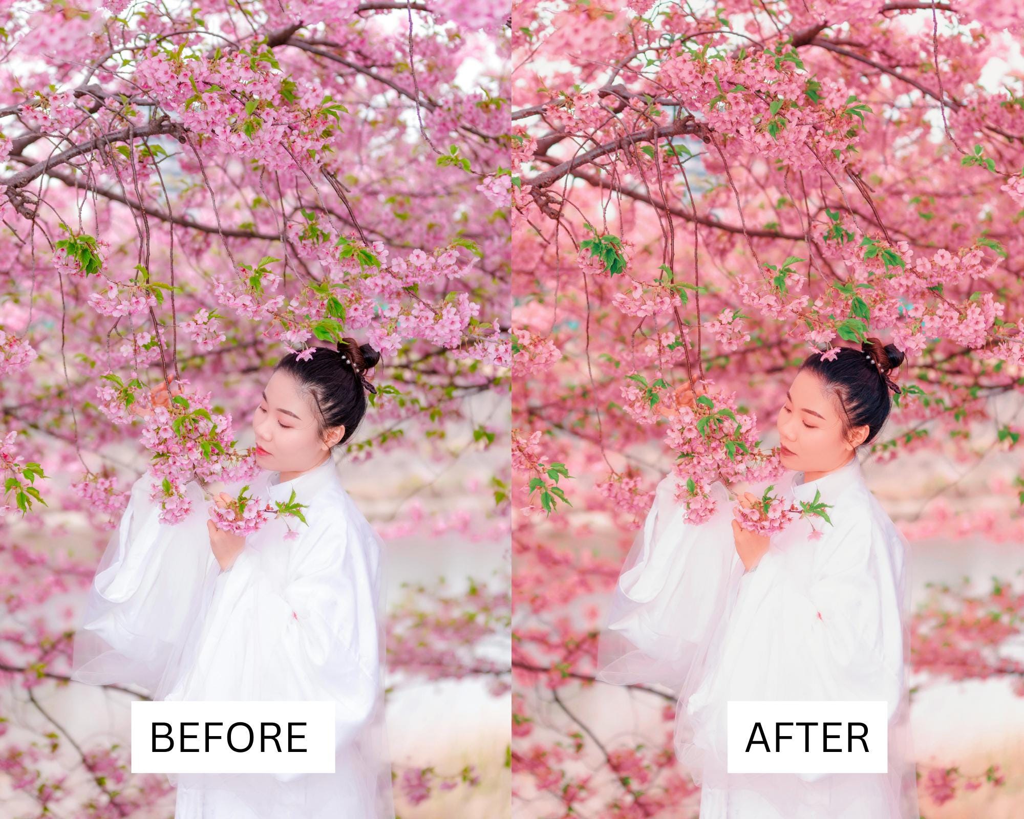 40 Cherry Blossom Luts | Sakura Japan Pink Pastel Color Grading LUT ...