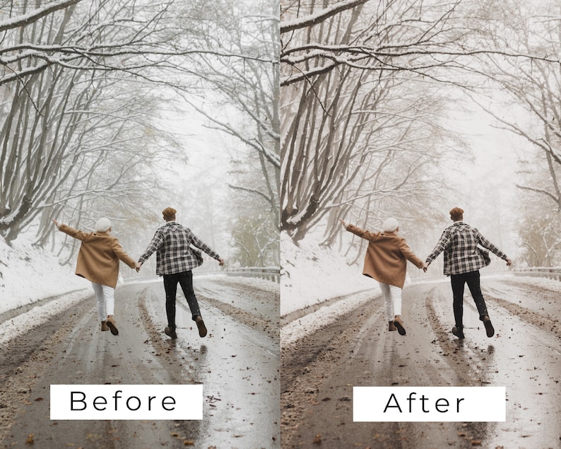40 LUTS | Snowscape | Video Presets | Video Editing | Video Filters ...