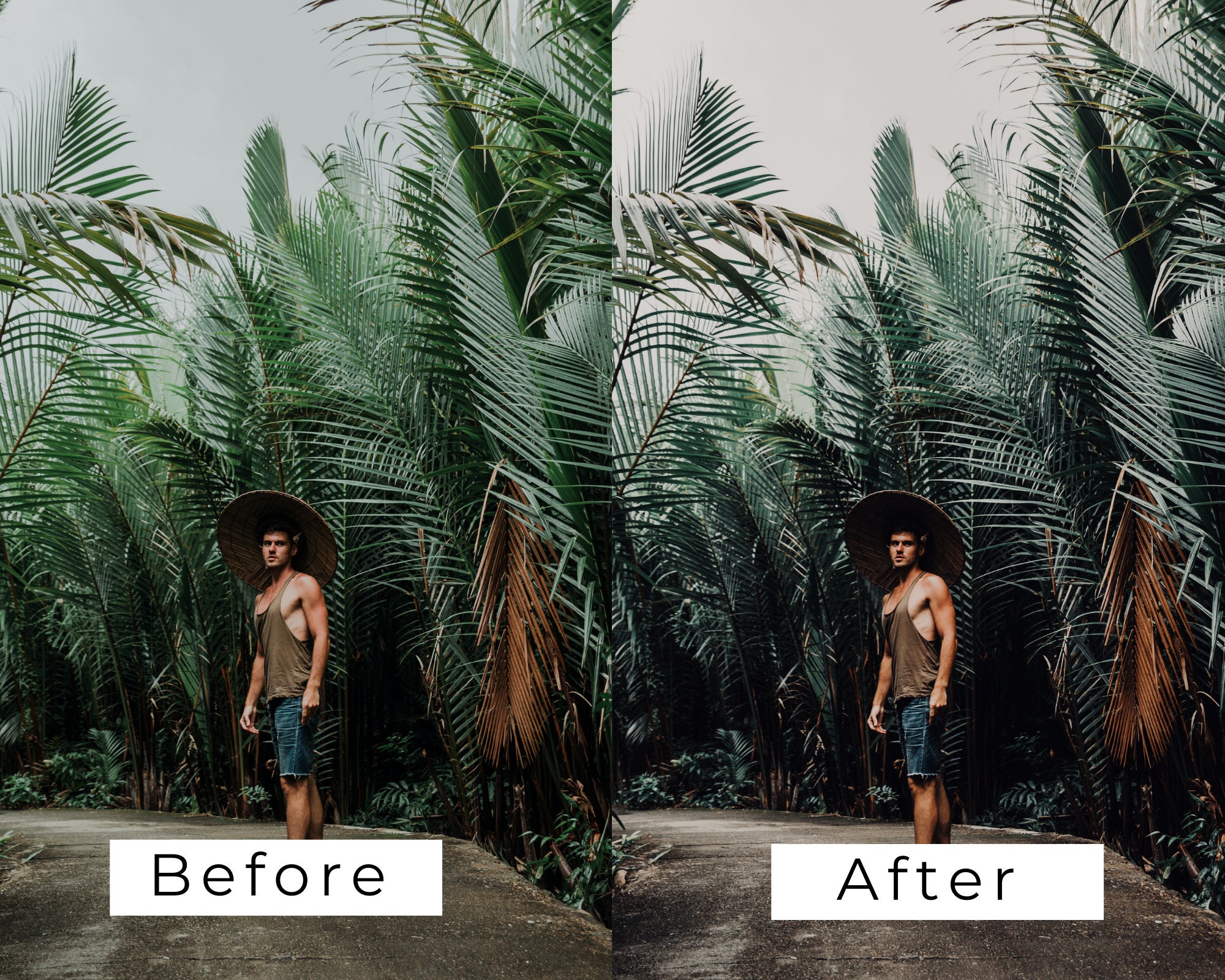 40 LUTS | Tropical Mood | Island | Beach | Premiere Pro | After Effects ...