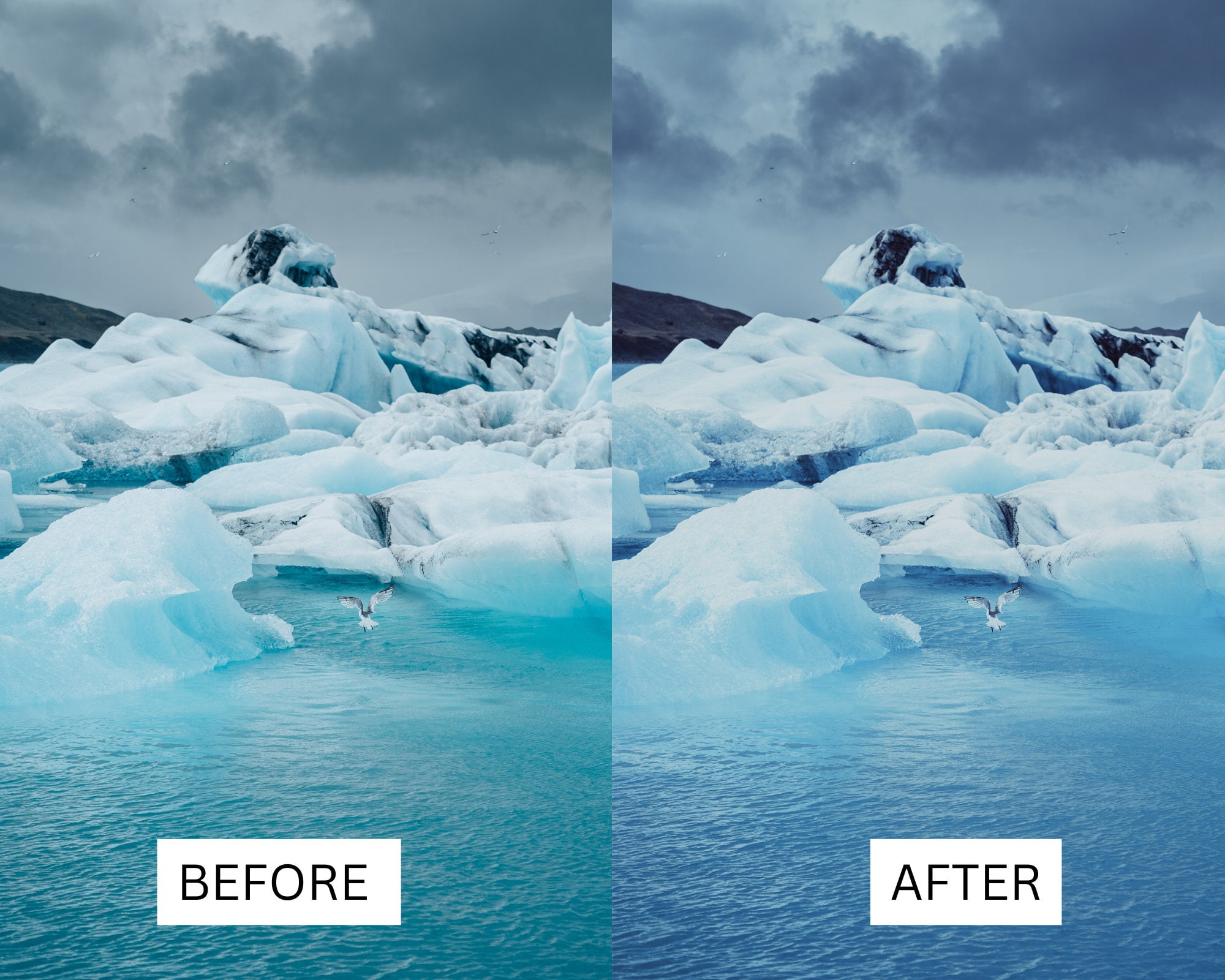 20 LUTS Arctic Snow Ice Winter Premiere Pro After Effects Photoshop ...