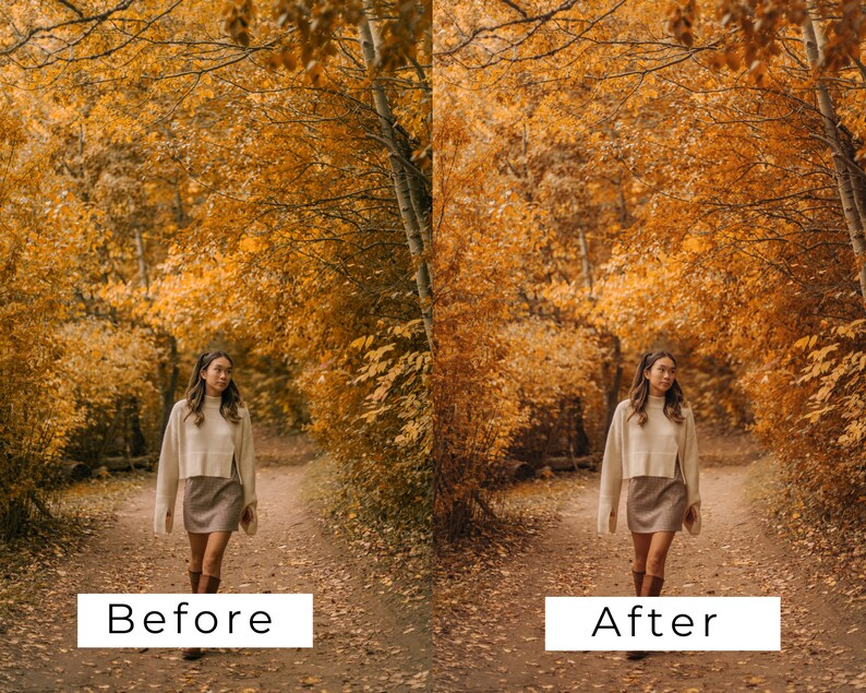 50 Autumn Luts Pack | Fall Color Grading Luts for Premiere Pro, Capcut ...