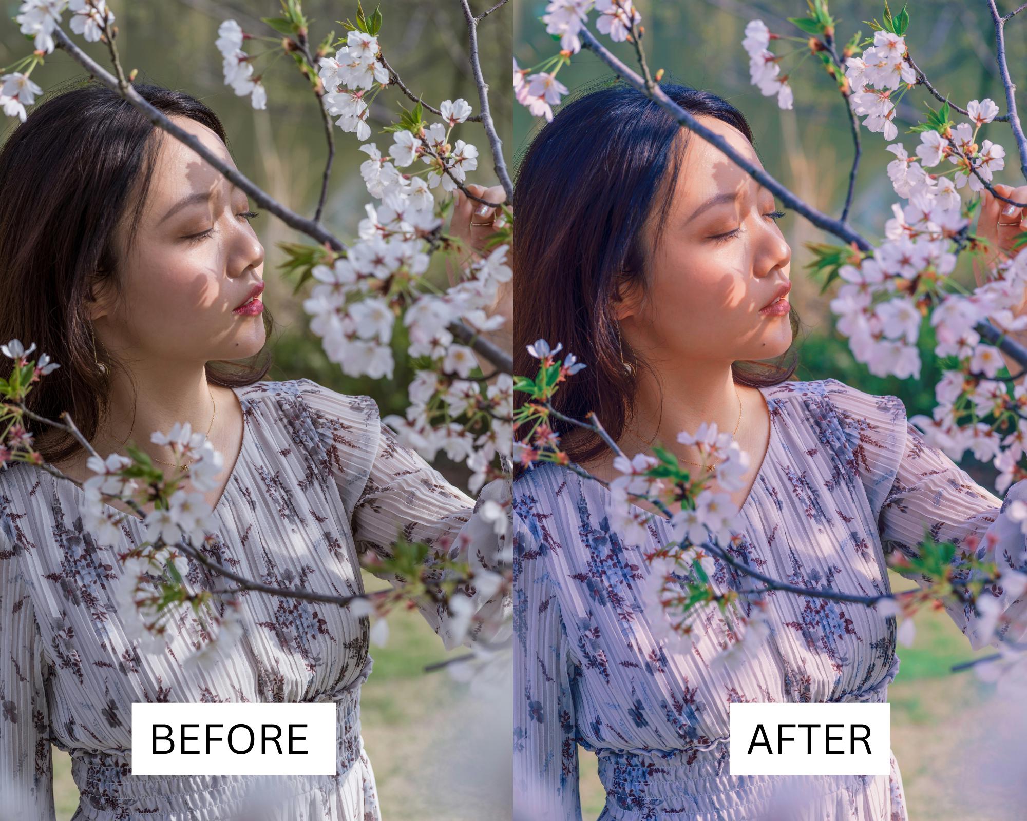 40 Cherry Blossom Luts | Sakura Japan Pink Pastel Color Grading LUT ...