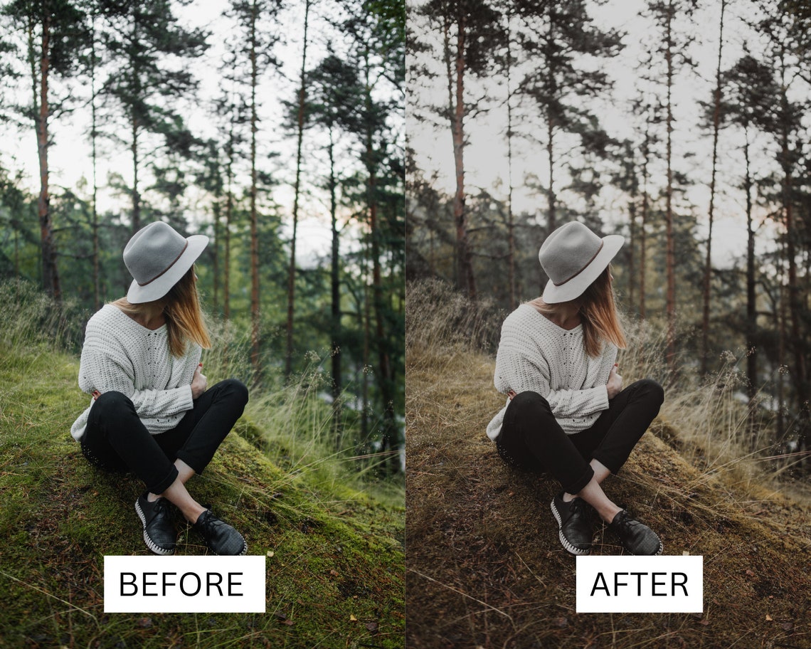 40 LUTS | Folklore | Forest | Video Presets | Video Filters | Video ...