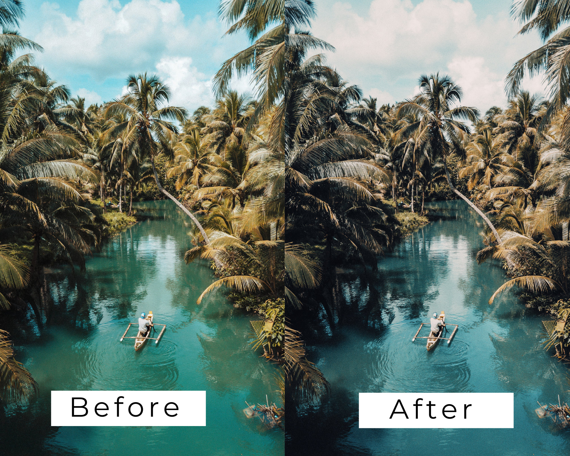 40 LUTS Tropical Rainforest Video Presets Video Editing Video Filters ...