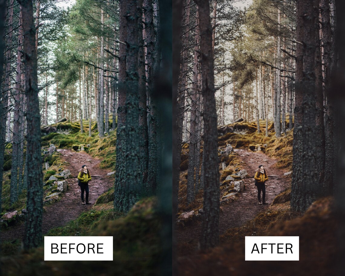 50 LUTS | Forest Mood | Rustic | Nature | Hiking | Trees | Premiere Pro ...