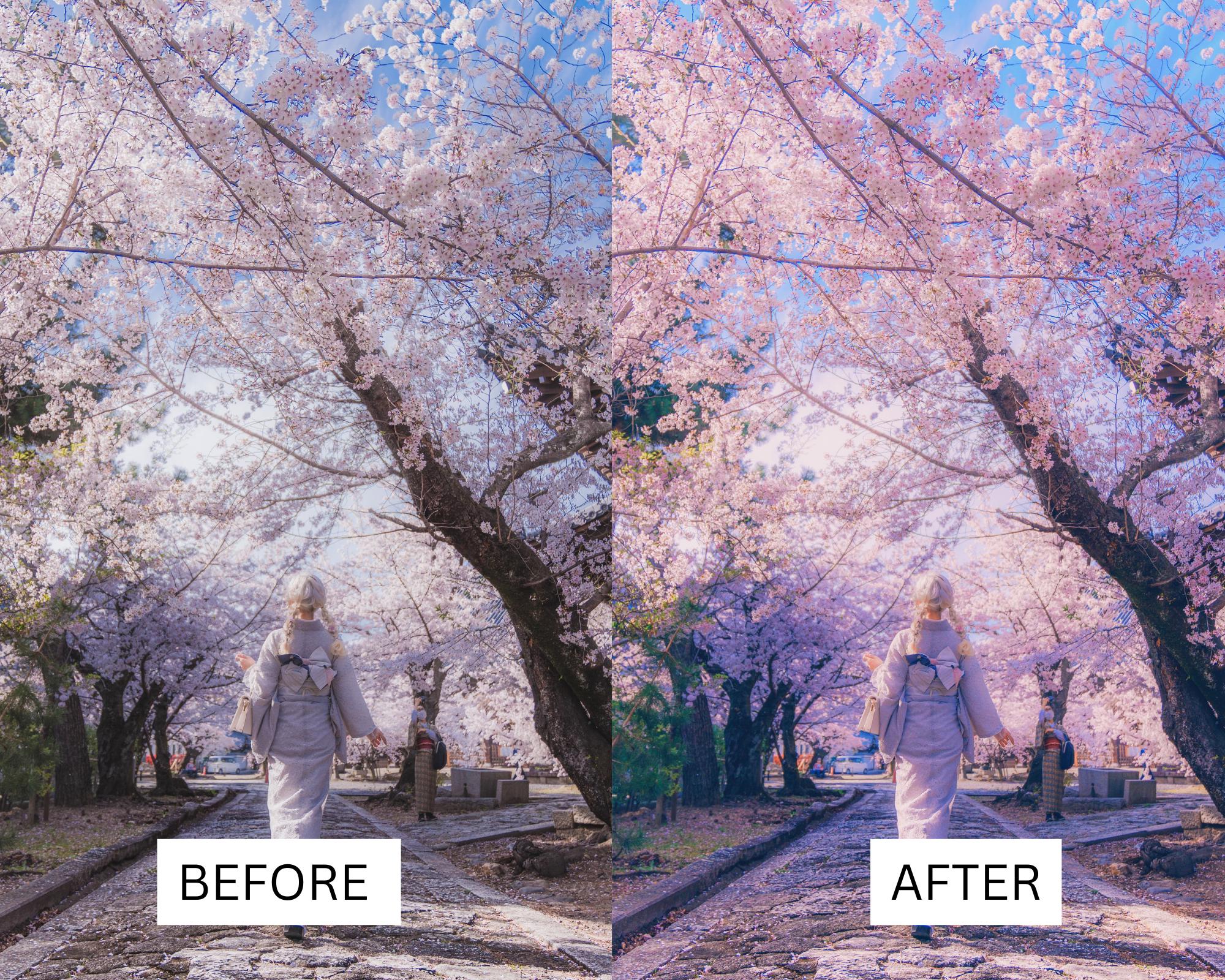 40 Cherry Blossom Luts | Sakura Japan Pink Pastel Color Grading LUT ...