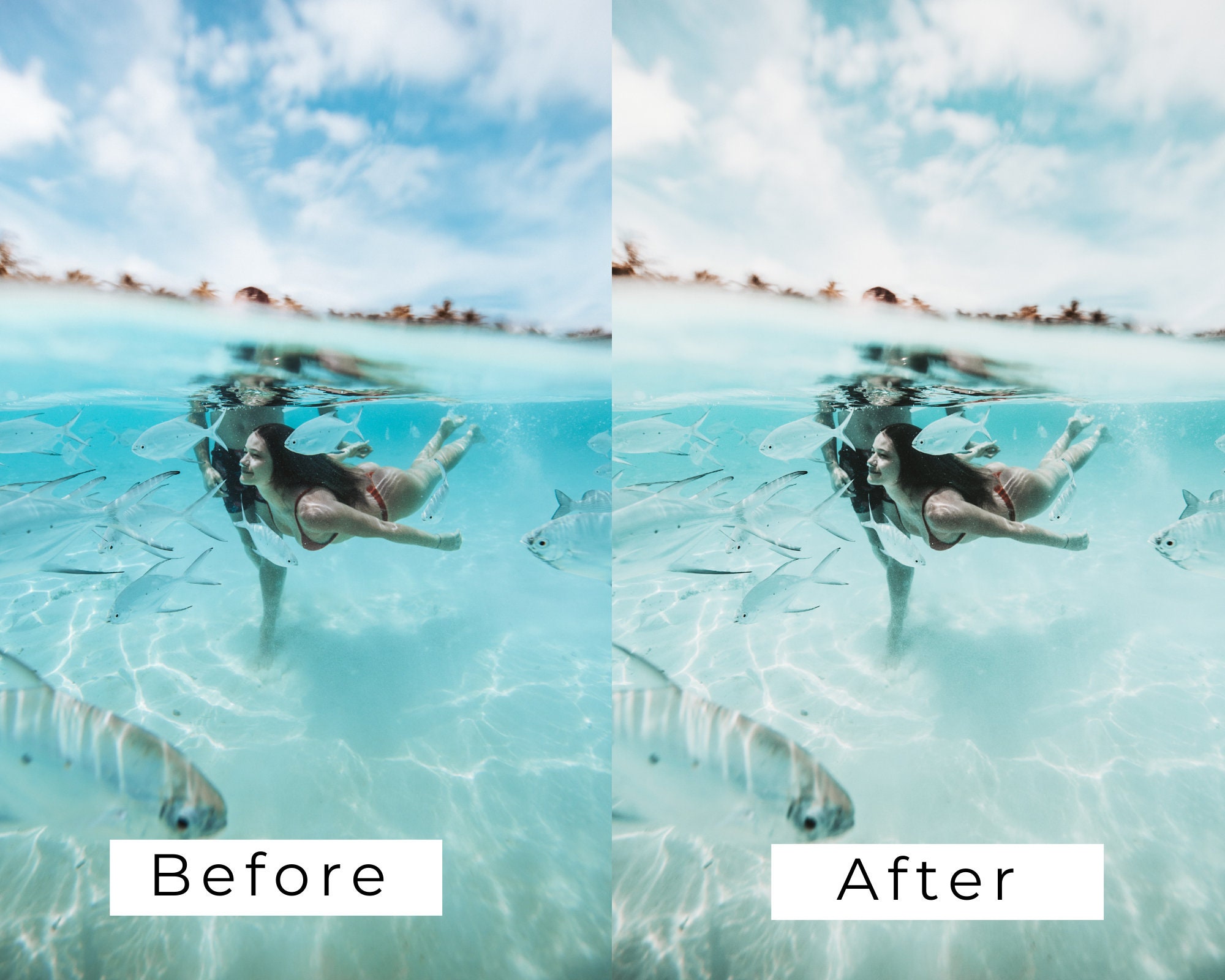 40 LUTS | Tropical Mood | Island | Beach | Premiere Pro | After Effects ...