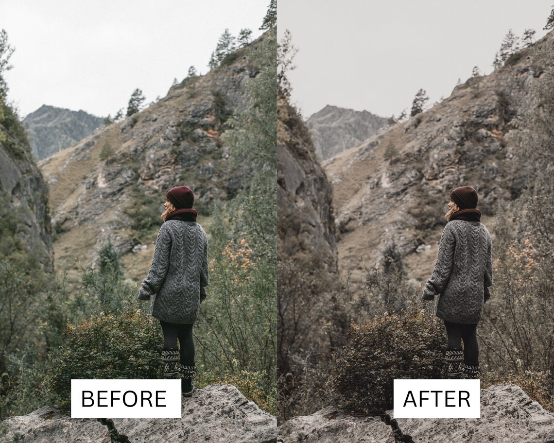 40 LUTS | Folklore | Forest | Video Presets | Video Filters | Video ...