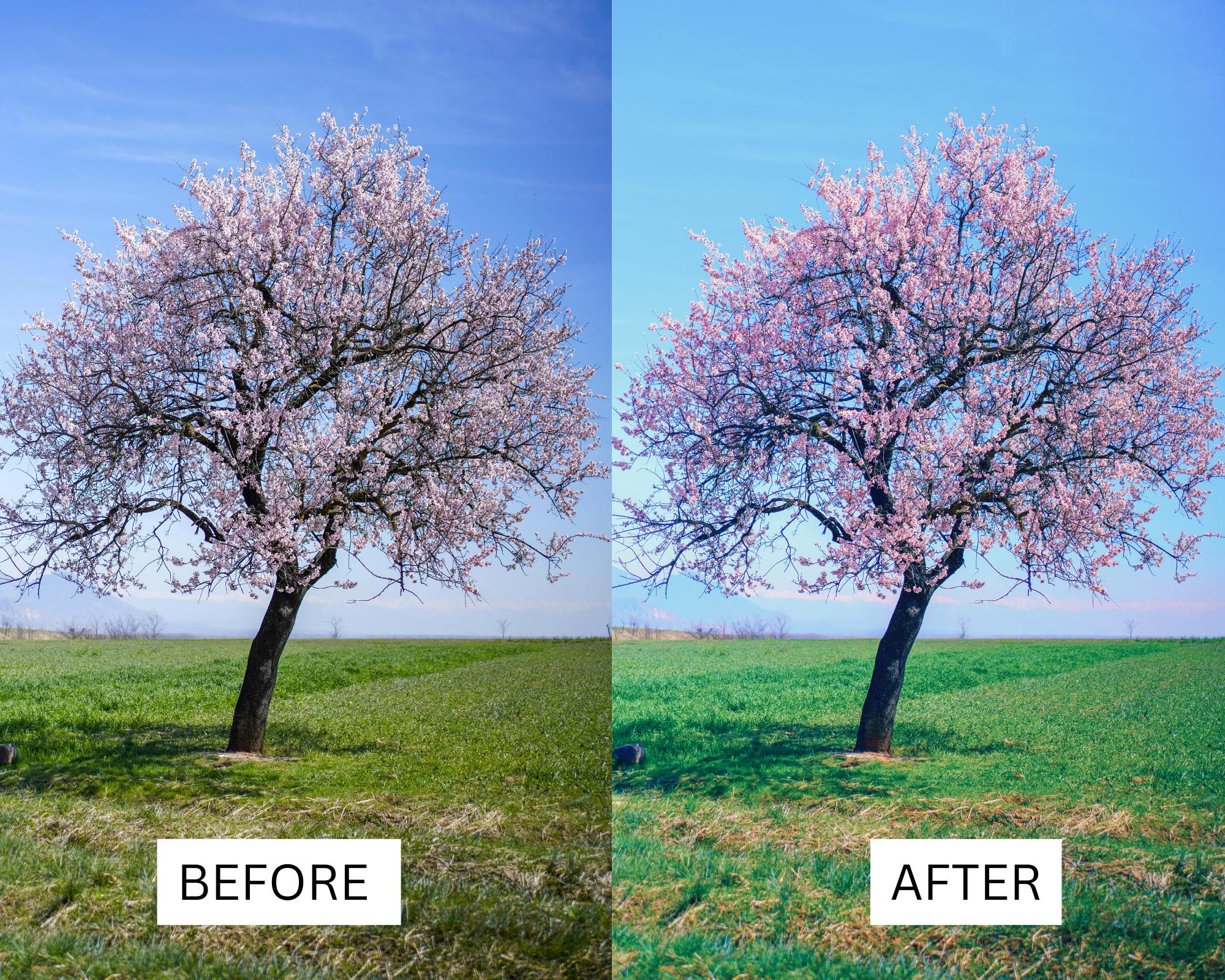 40 Cherry Blossom Luts | Sakura Japan Pink Pastel Color Grading LUT ...