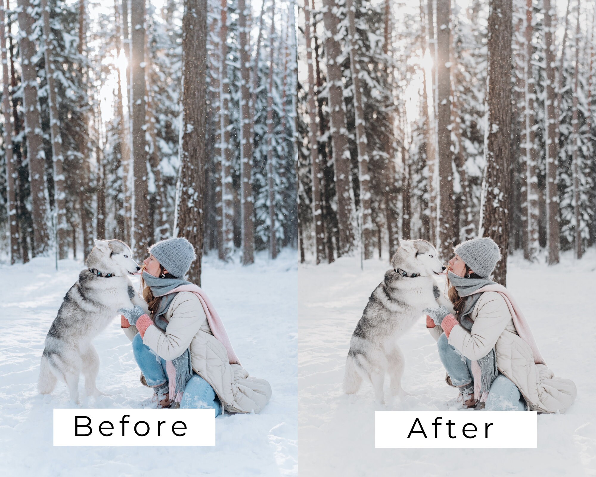 40 LUTS | Snowscape | Video Presets | Video Editing | Video Filters ...