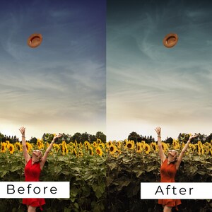 40 LUTS | Sunflower | Video Presets | Editing | Filters | Photoshop ...