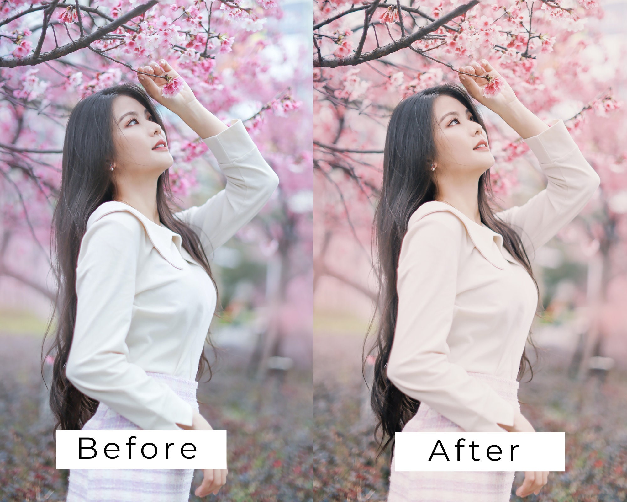20 Lightroom Presets Cherry Blossom Tree Pink Japan - Etsy