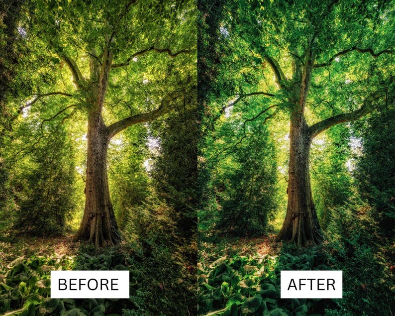 40 LUTS | Cinematic Forest | Green | Trees | Nature | Hiking | Premiere ...